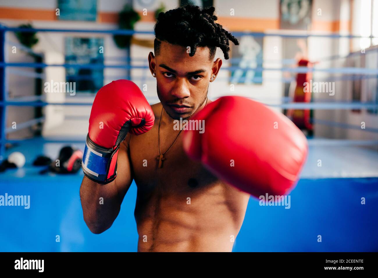 Confident ethnic fighter punching the air and looking at camera Stock ...