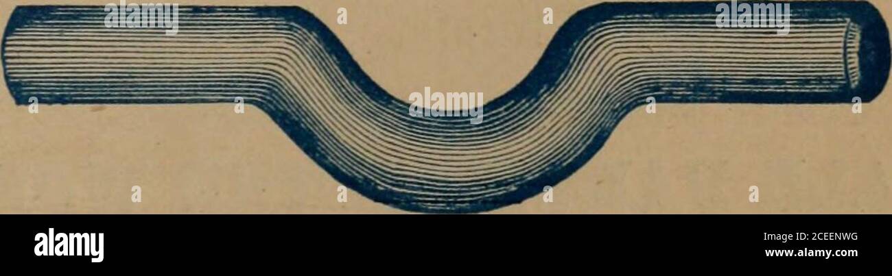 Stench trap hi-res stock photography and images - Alamy