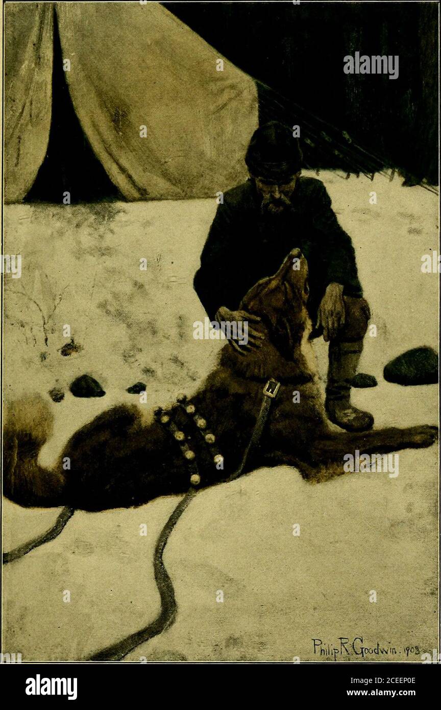 Hal Call Of The Wild