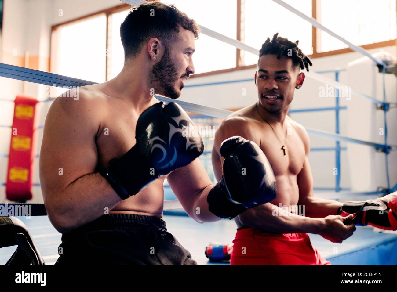 Ethnic and white muscular men sitting in boxing club and putting on ...