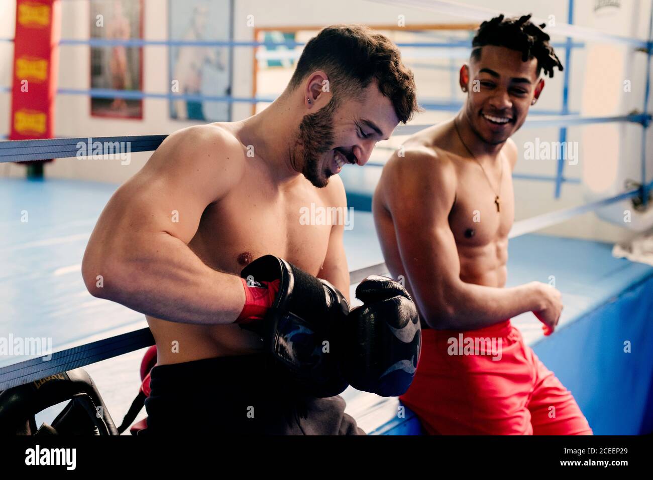 Ethnic and white muscular men sitting in boxing club and putting on ...