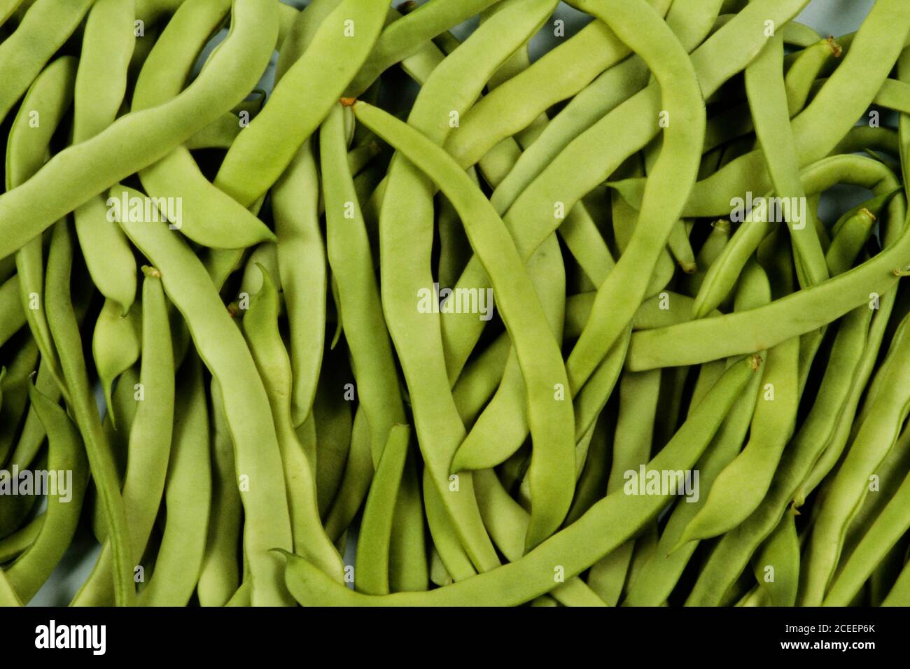 Green beans from agricultural products grown in Turkey. The beans are ...