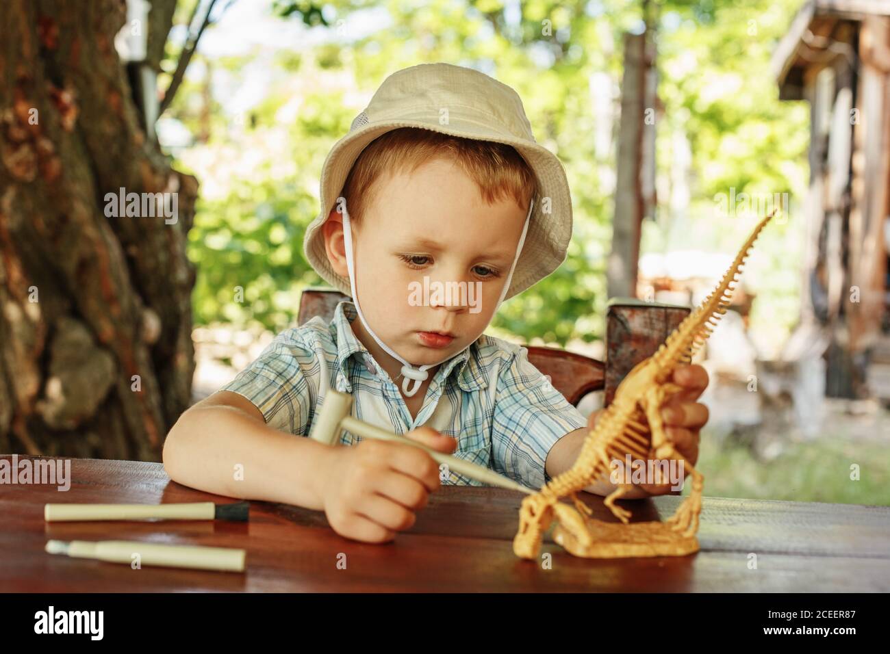 Cute little boy wants to be an archaeologist Stock Photo - Alamy Cute little boy wants to be an archaeologist Stock Photo - Alamy