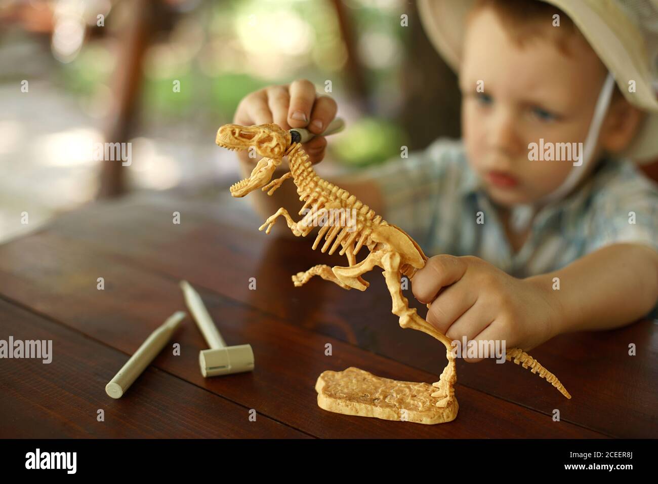 Prehistoric tools archaeologist hi-res stock photography and images - Alamy