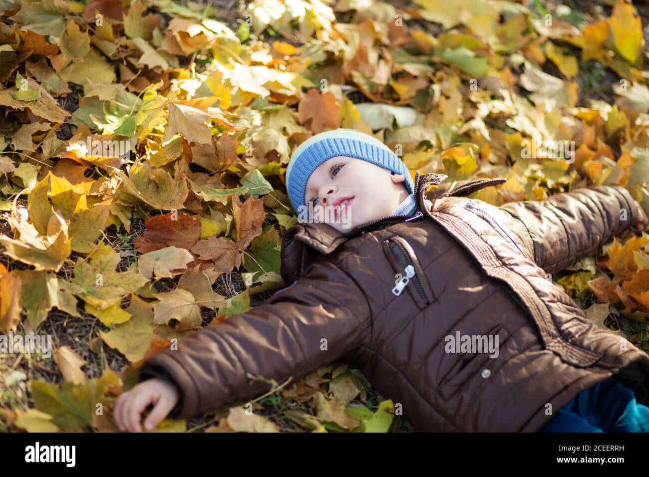 Portrait of a cheerful little boy wallow in fall foliage. Smiling funny ...
