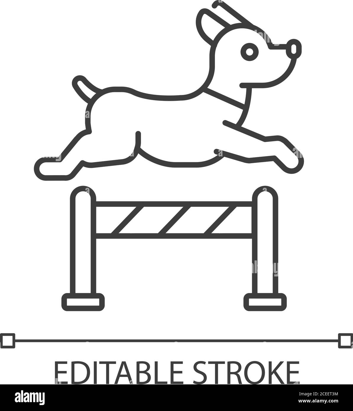 Training of service dog Cut Out Stock Images & Pictures - Alamy