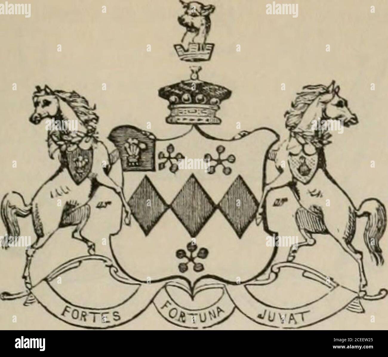 1st earl of caledon hi-res stock photography and images - Alamy