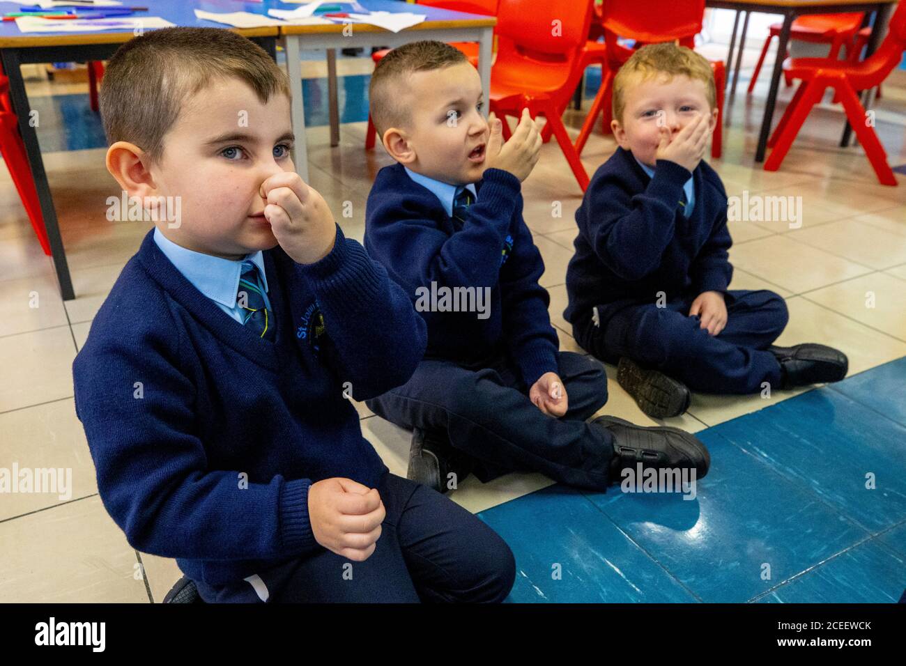 Baby shark challenge hi-res stock photography and images - Alamy