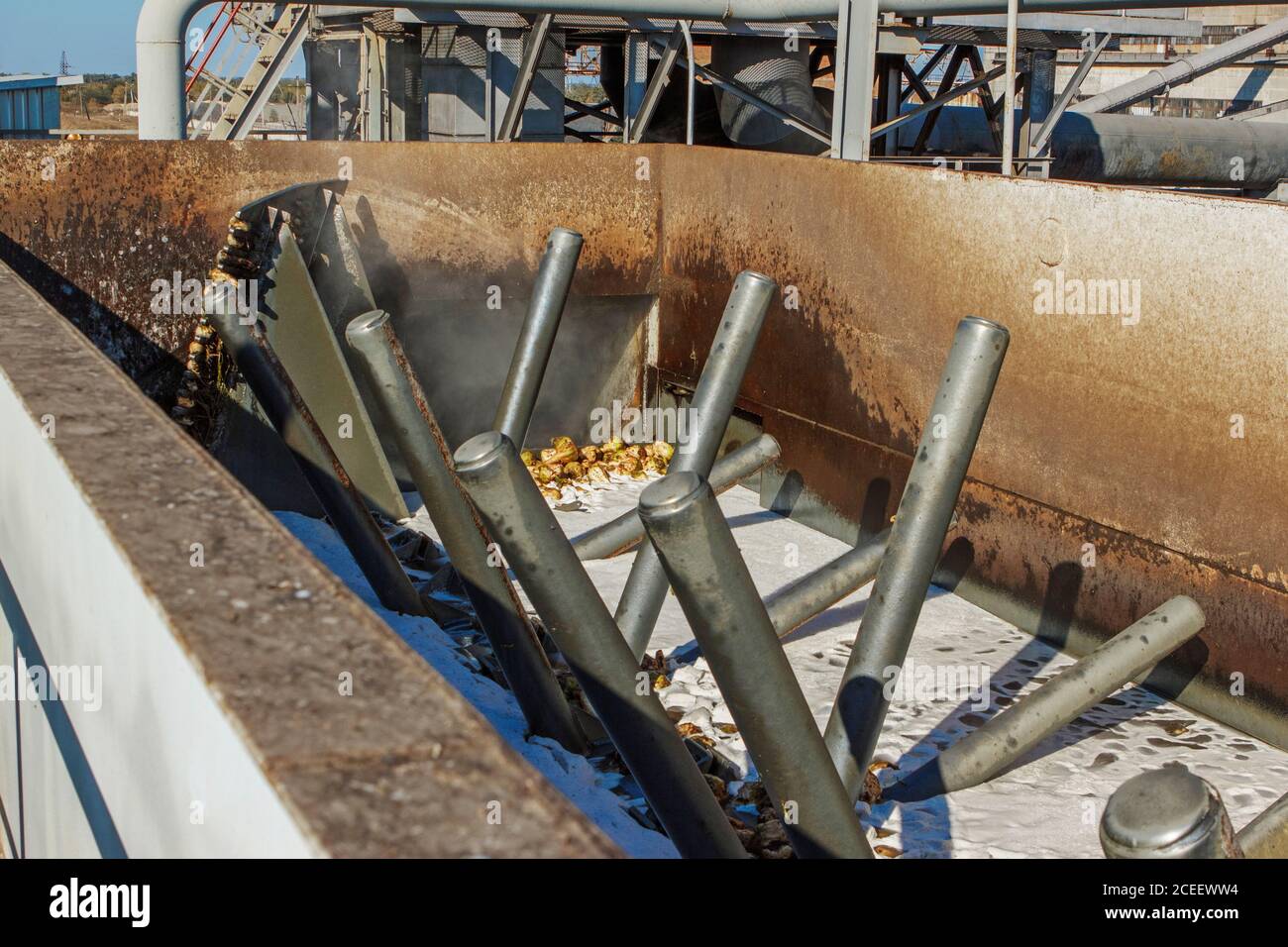 The mechanization of the production process of washing the sugar beet ...