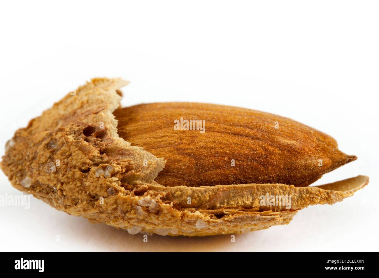roasted, shelled and salted almonds Stock Photo - Alamy