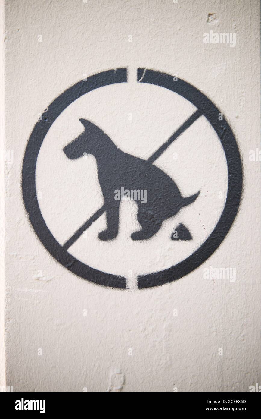 Sign forbidden to poop the dogs painted in a concrete wall Stock Photo ...