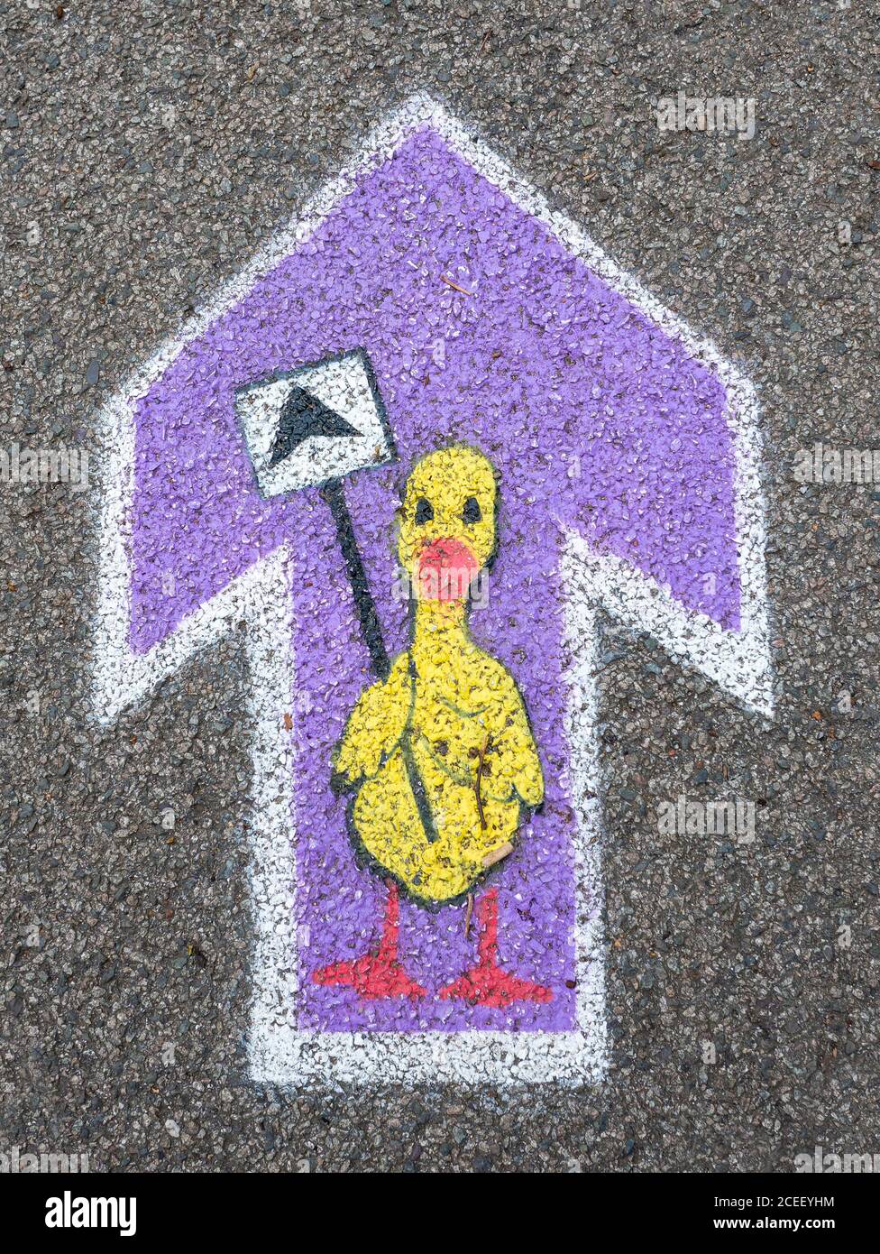 Colourful direction arrow with cute duck drawn on the pavement Stock ...