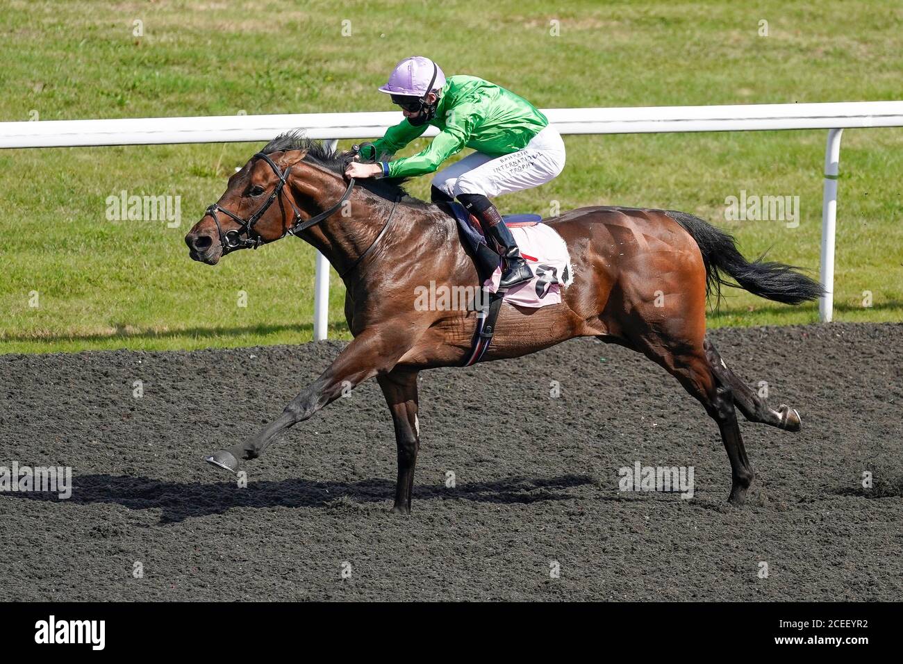 Robert havlin riding uncle bryn hi-res stock photography and images - Alamy