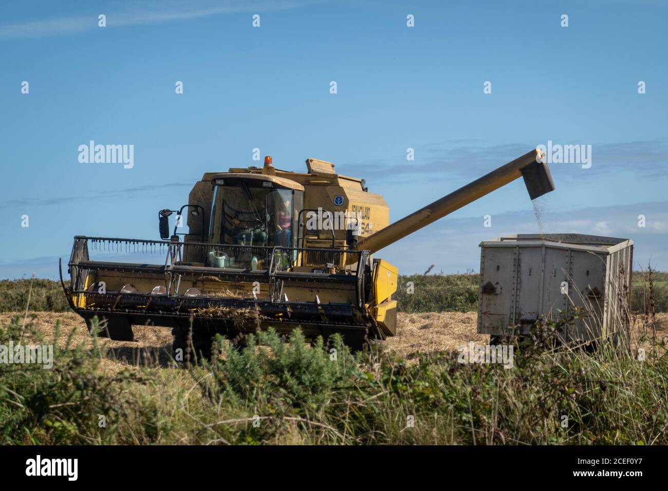 Yellow combine harvester hi-res stock photography and images - Alamy