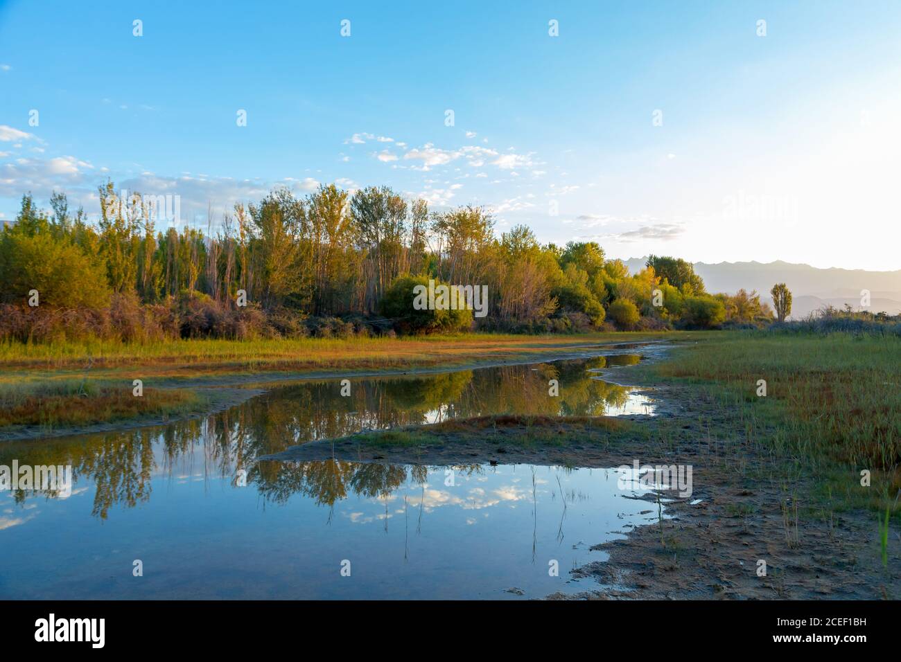 Landscape river overgrown trees hi-res stock photography and images - Alamy
