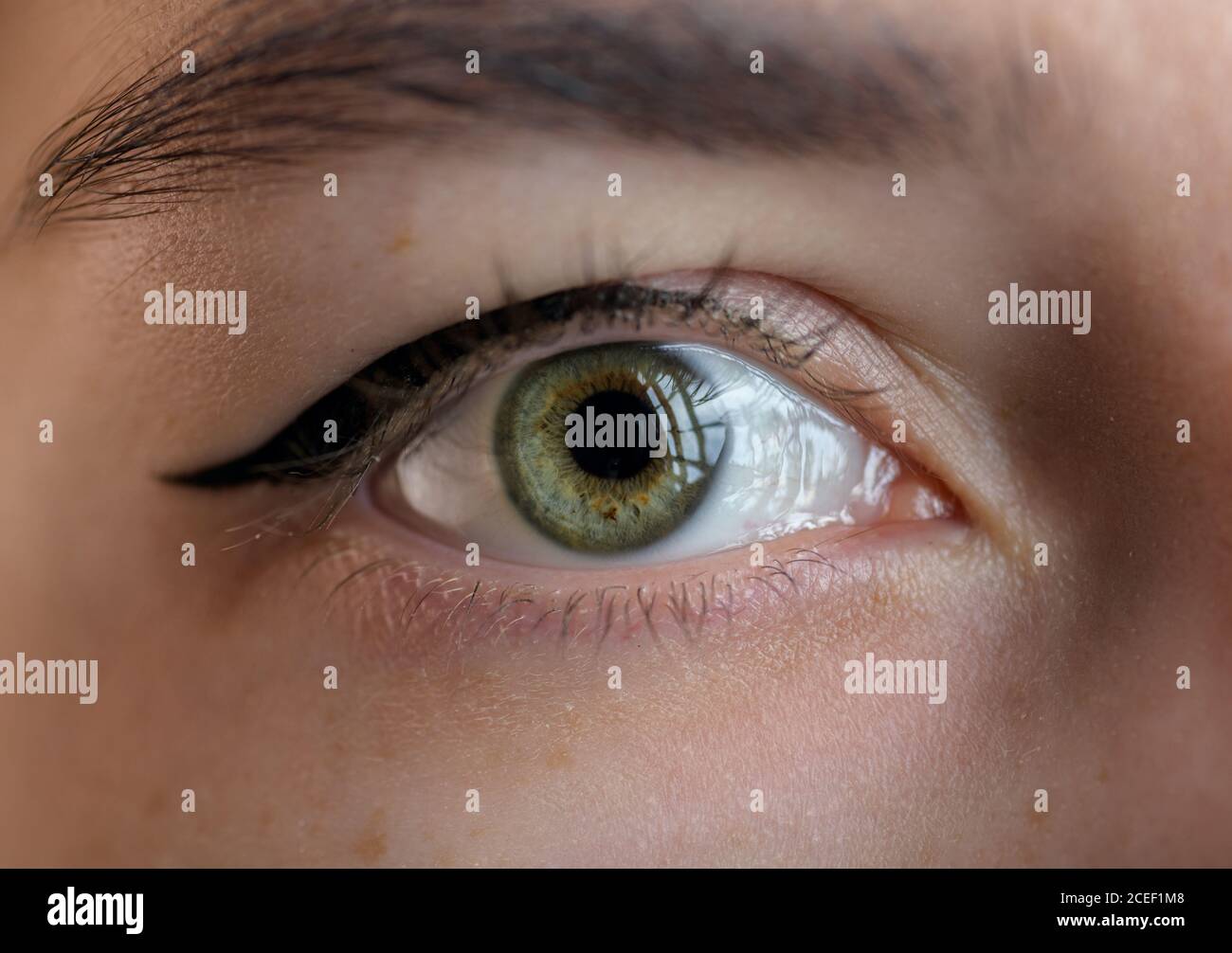 Human green eye hi-res stock photography and images - Alamy