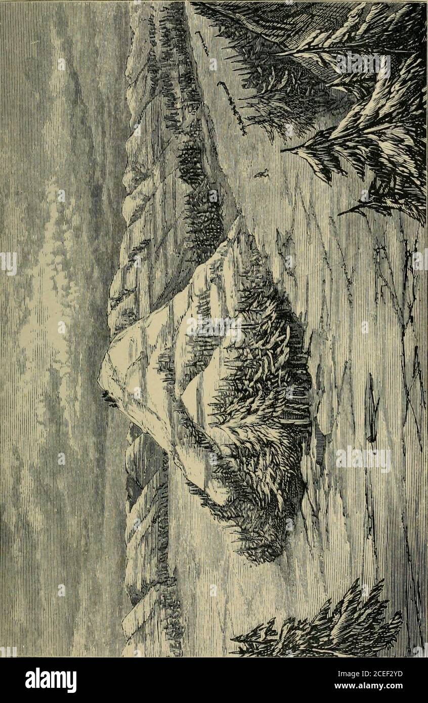 Camp duskin hi-res stock photography and images - Alamy