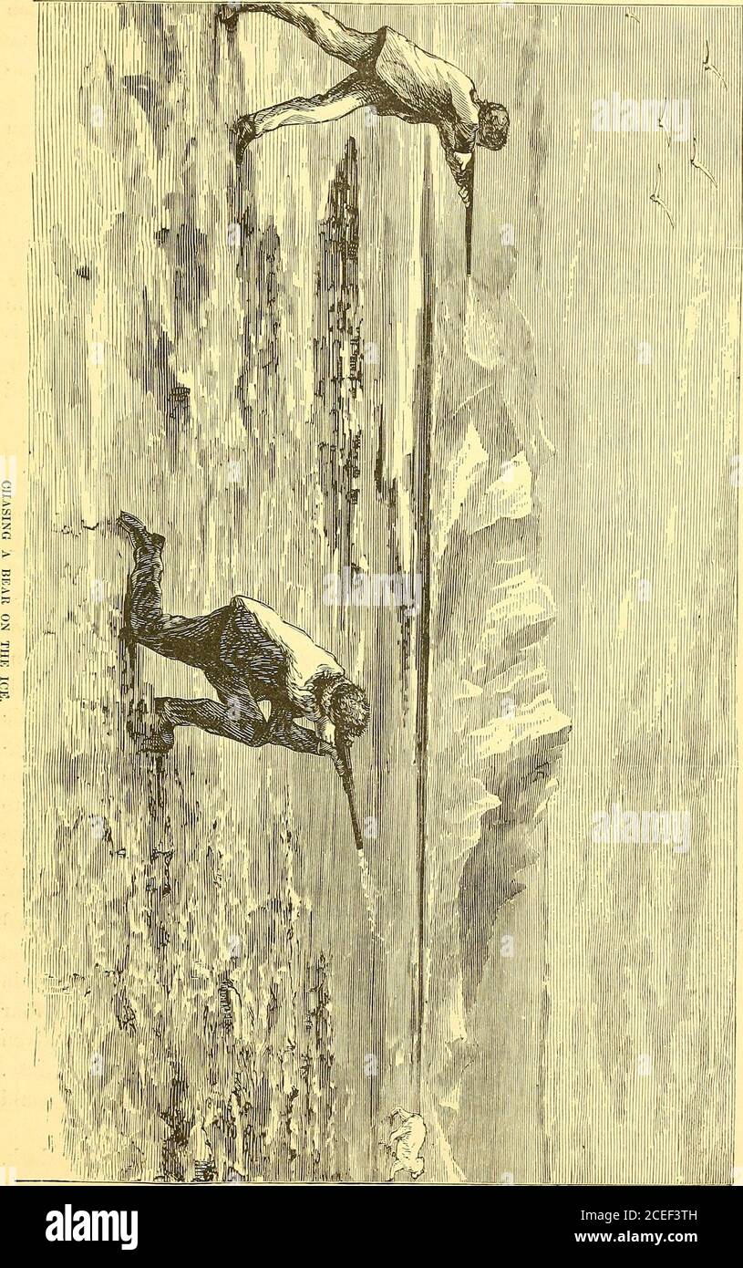 Caution crows hi-res stock photography and images - Alamy