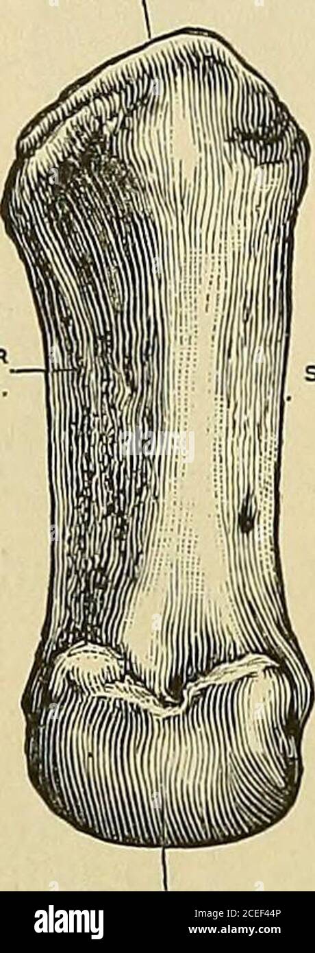 Hand inner surfaces hi-res stock photography and images - Alamy