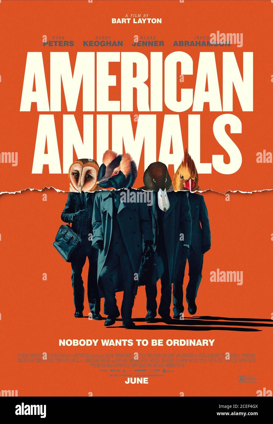 American Animals 2018 Poster High Resolution Stock Photography and ...