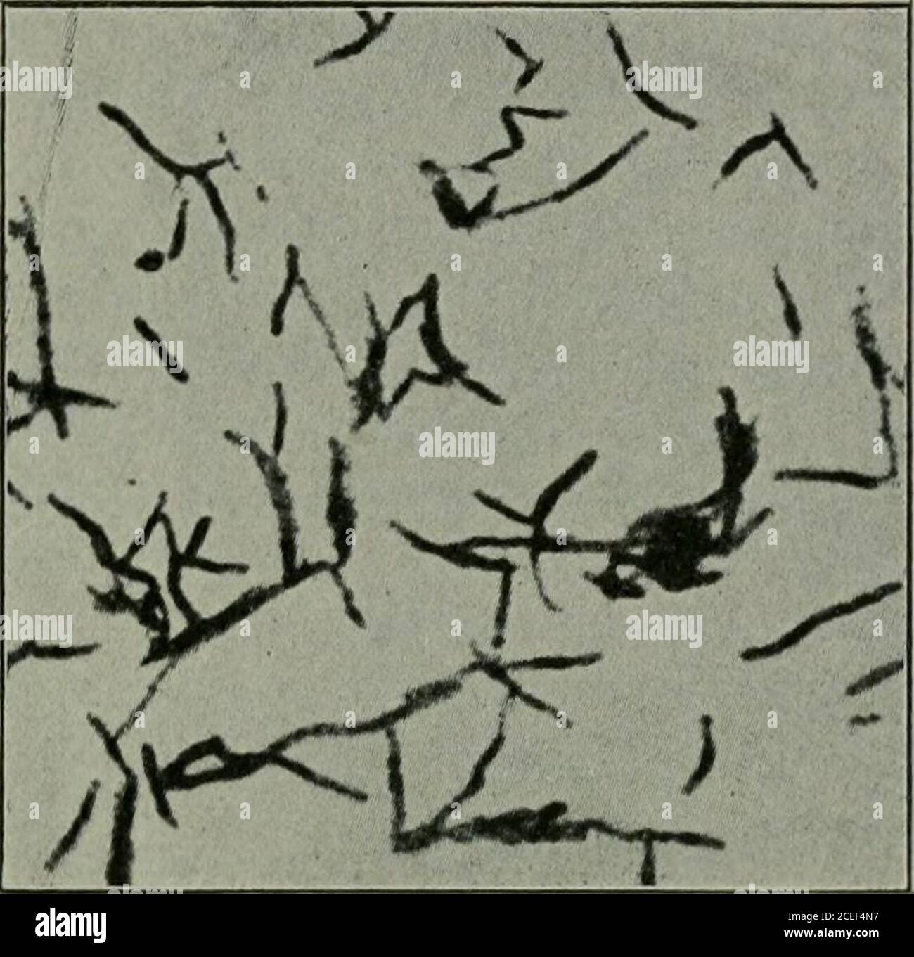 Slant cultures hi-res stock photography and images - Alamy