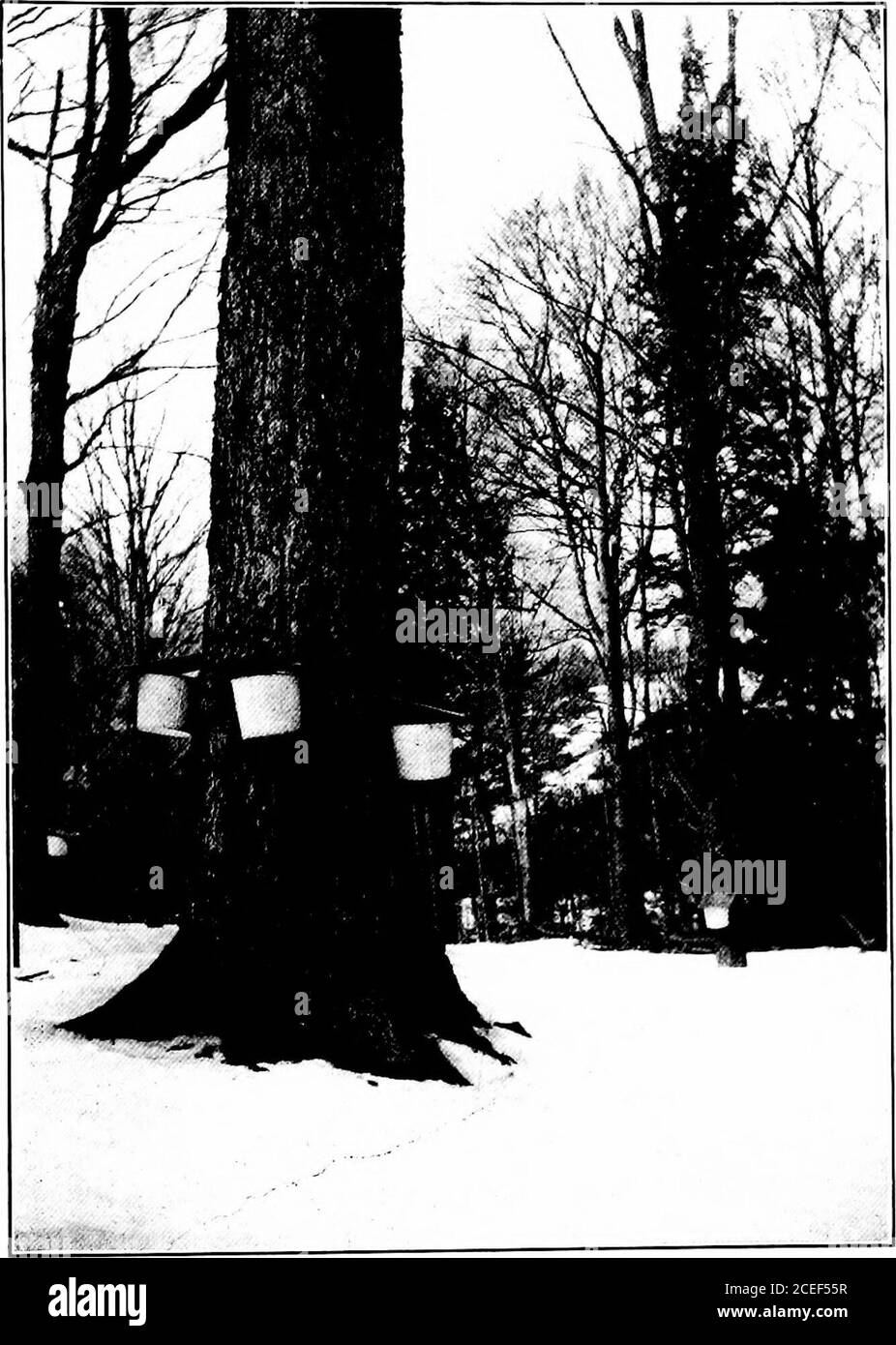 Big troughs Black and White Stock Photos & Images - Alamy