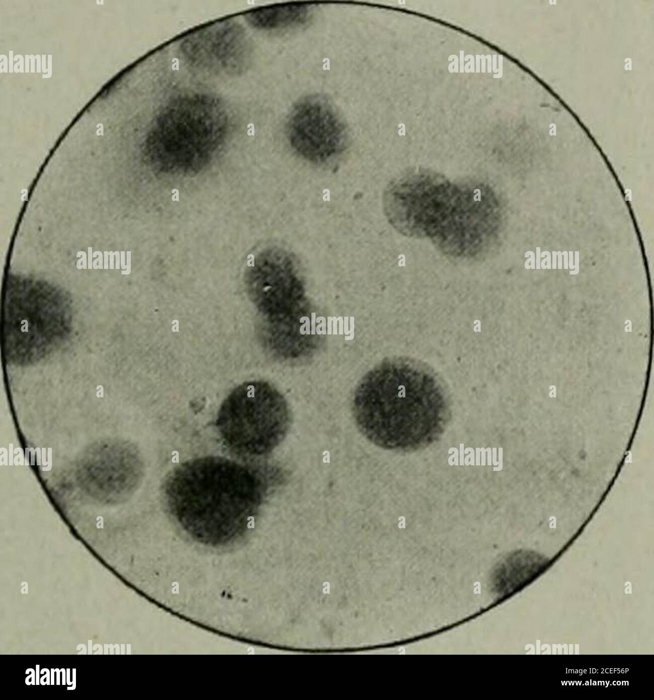 Sixteen lens hi-res stock photography and images - Alamy