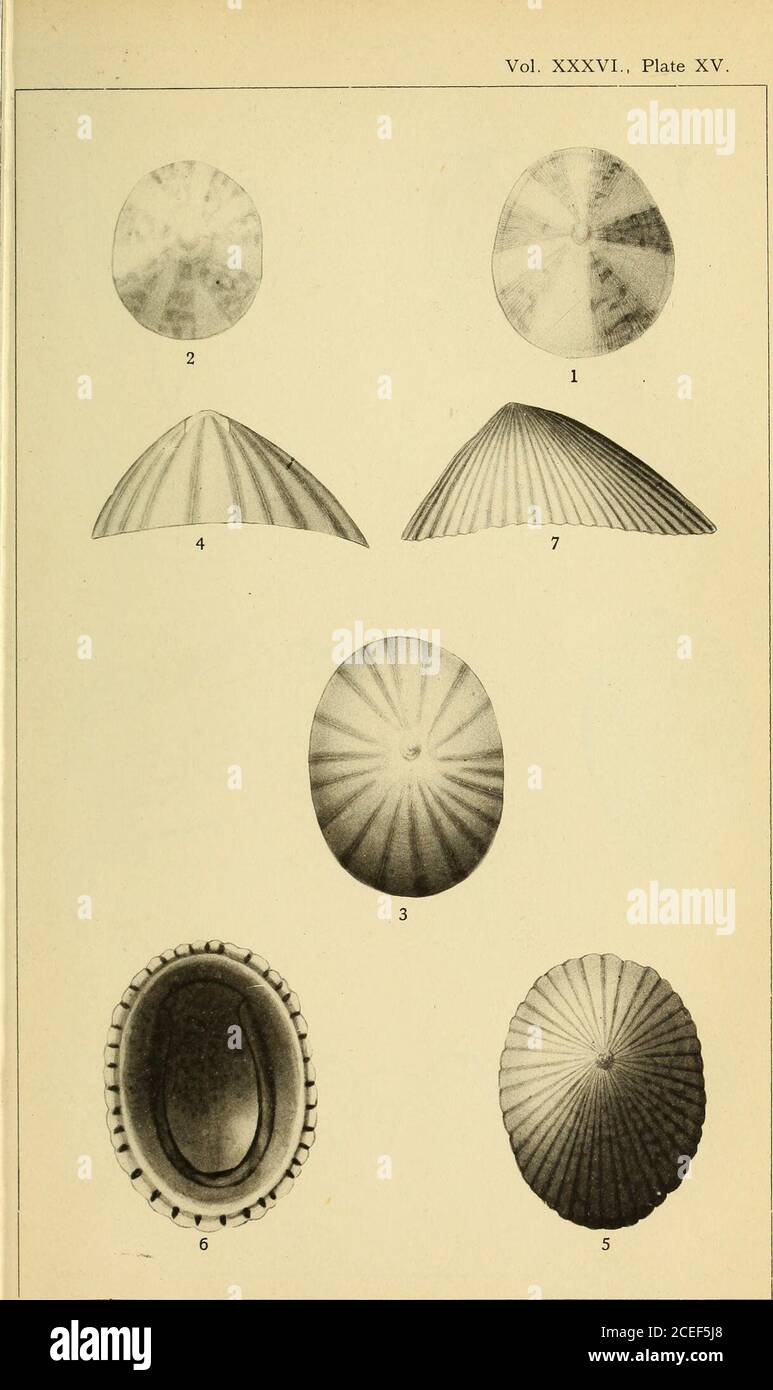Collotype printing hi-res stock photography and images - Alamy