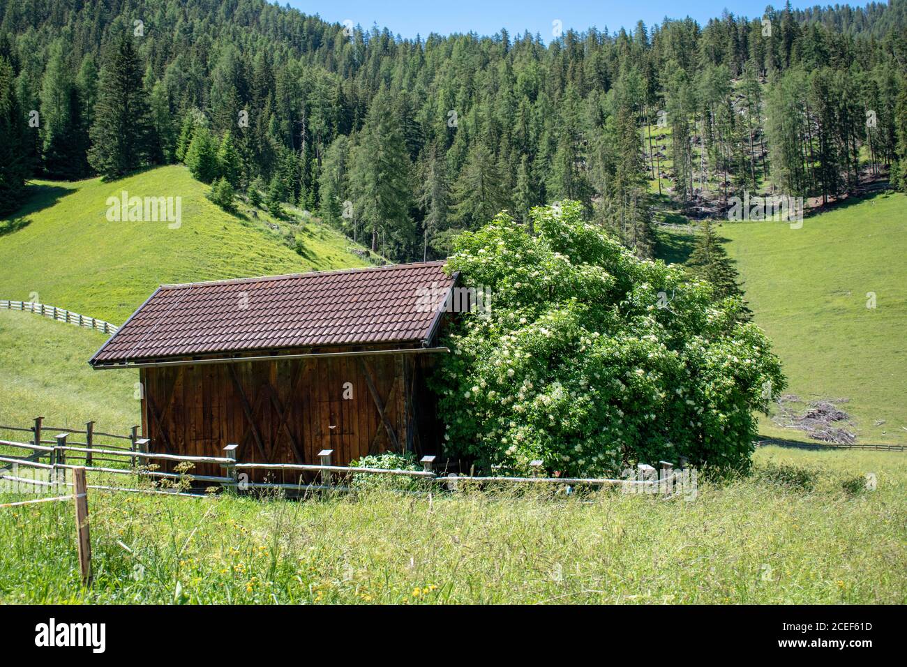 Log cabin in the Dolomites, surrounded by green fields and mountains ...
