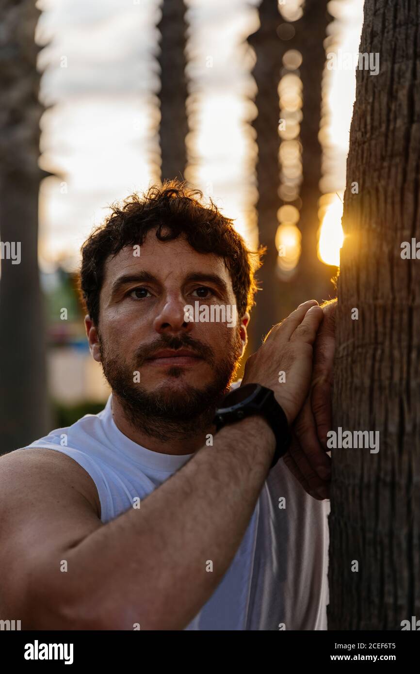 The leaning tree trunk hi-res stock photography and images - Alamy
