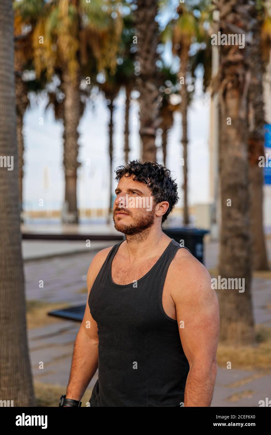 Palm trees running hi-res stock photography and images - Alamy