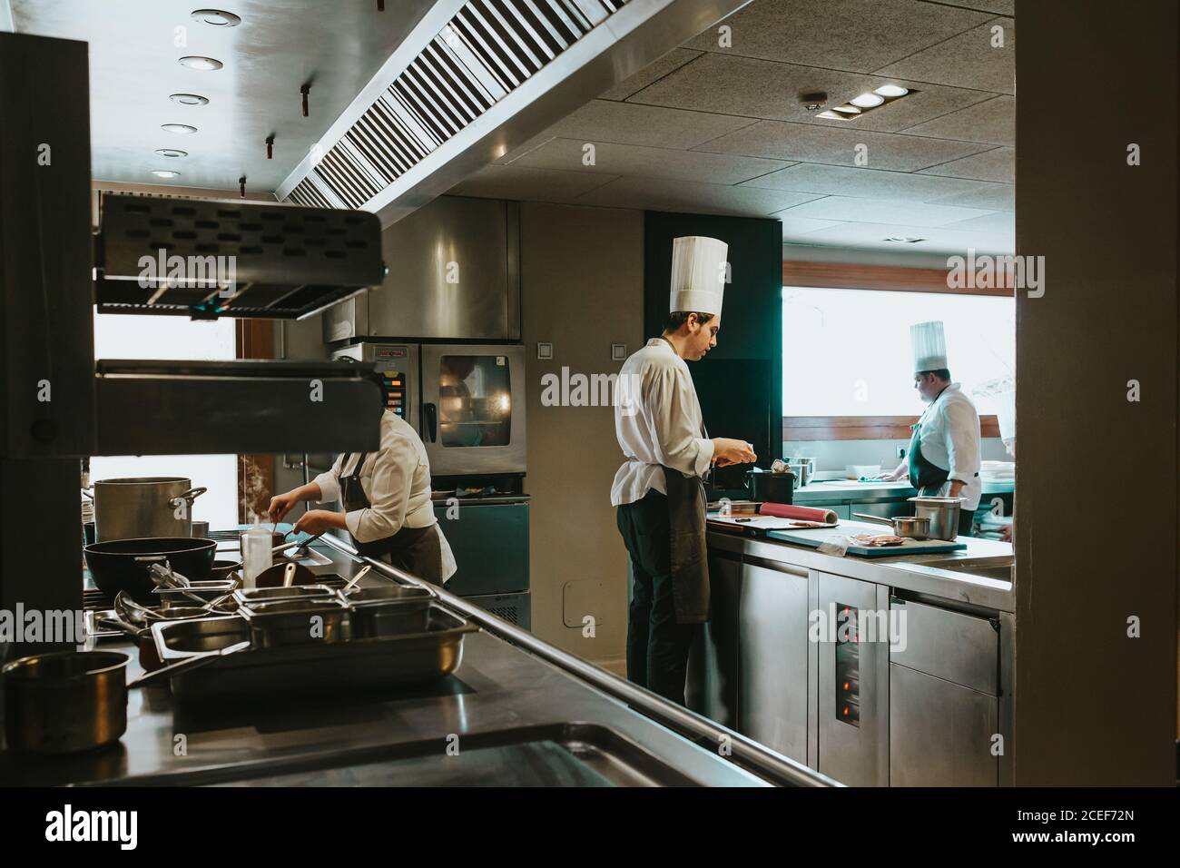 Side view of the cooks in the restaurant kitchen making the dishes ...