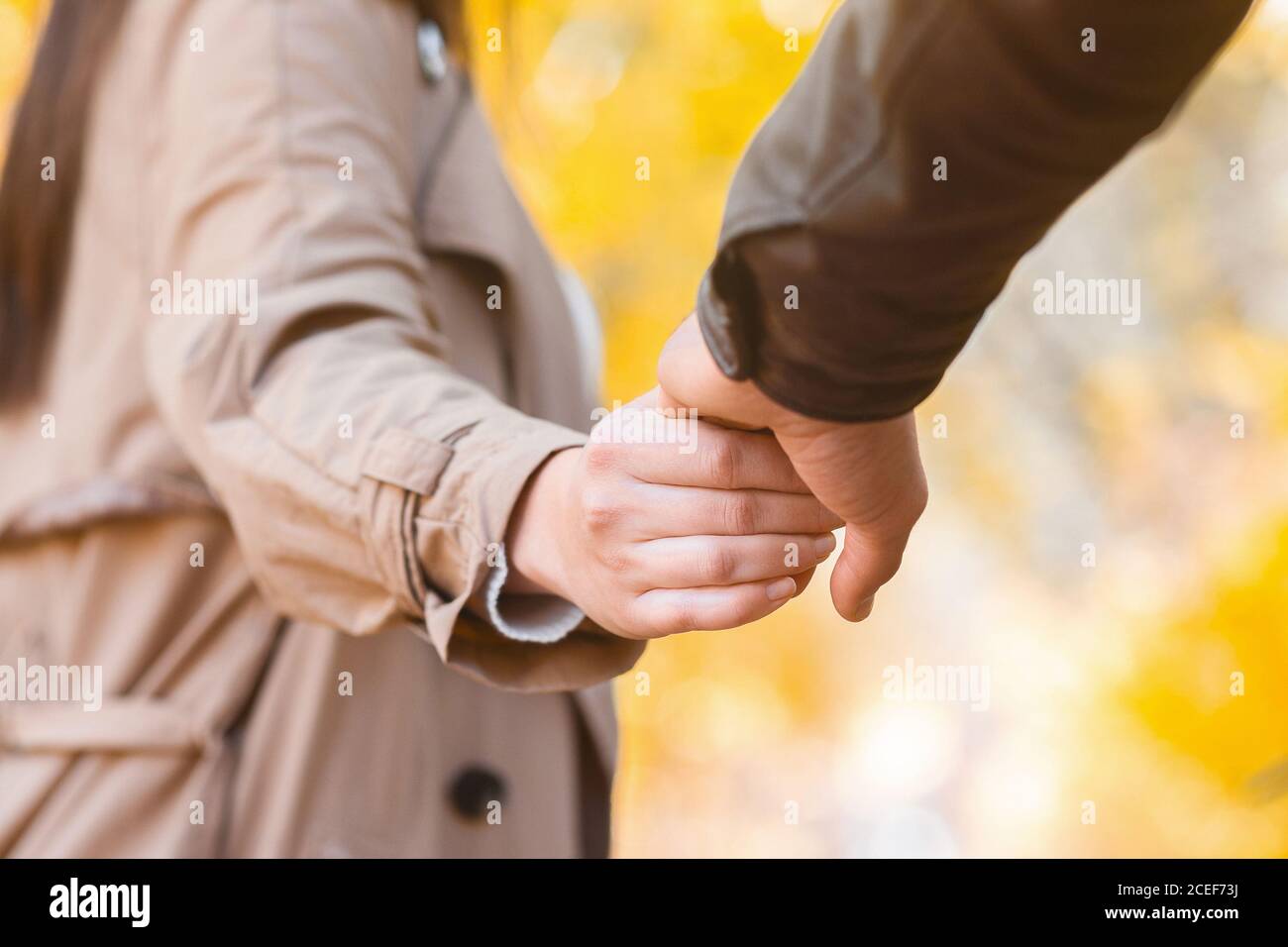 Woman pulling man hand, walking in autumn park Stock Photo - Alamy