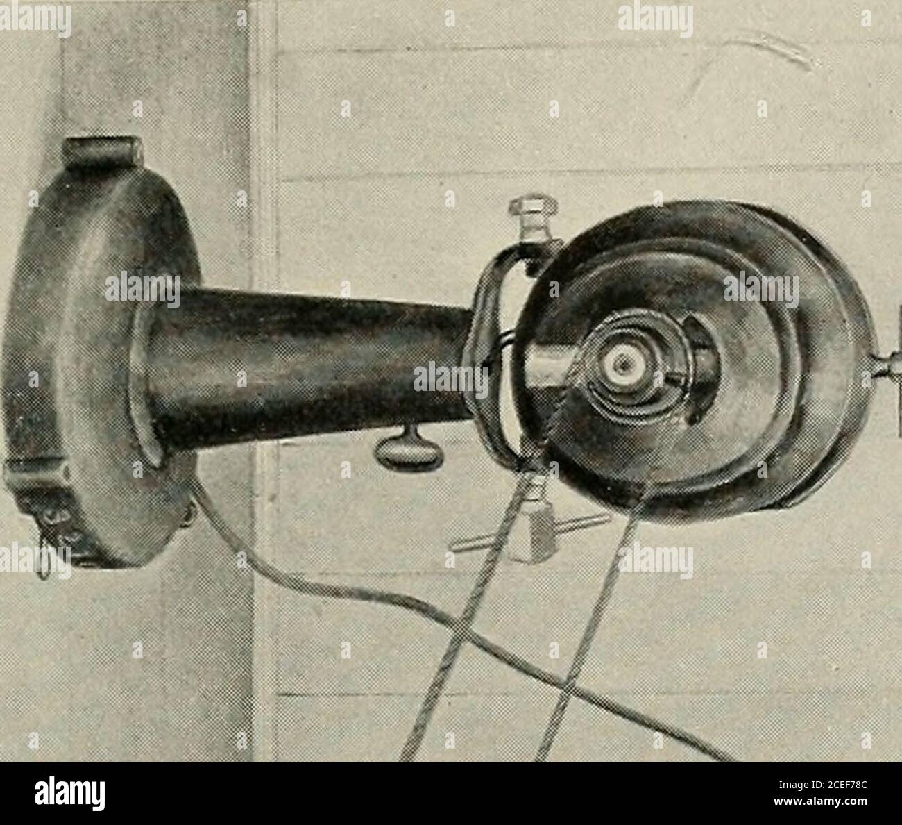 Bacterin hi-res stock photography and images - Alamy