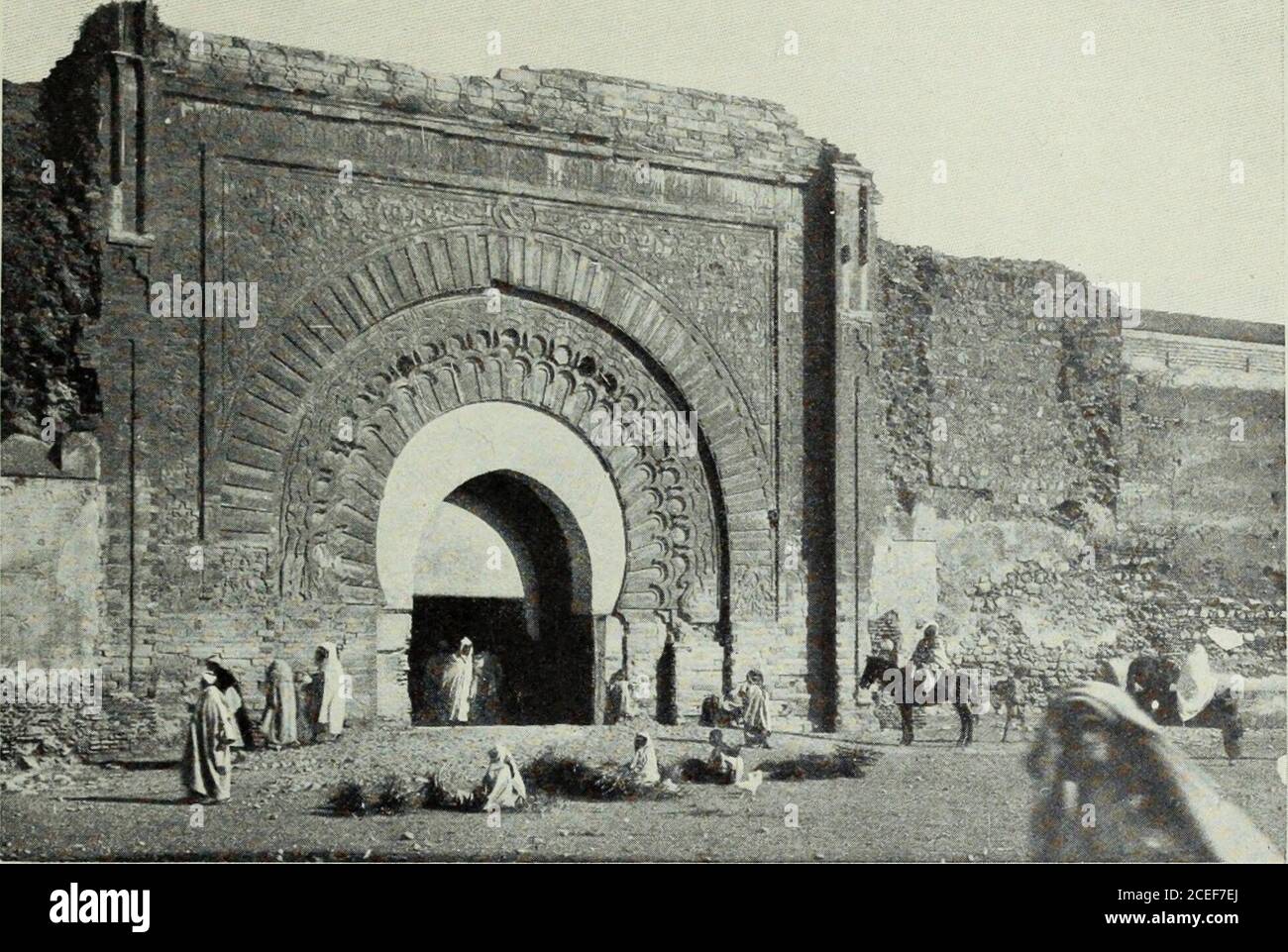 Perdicaris hi-res stock photography and images - Alamy