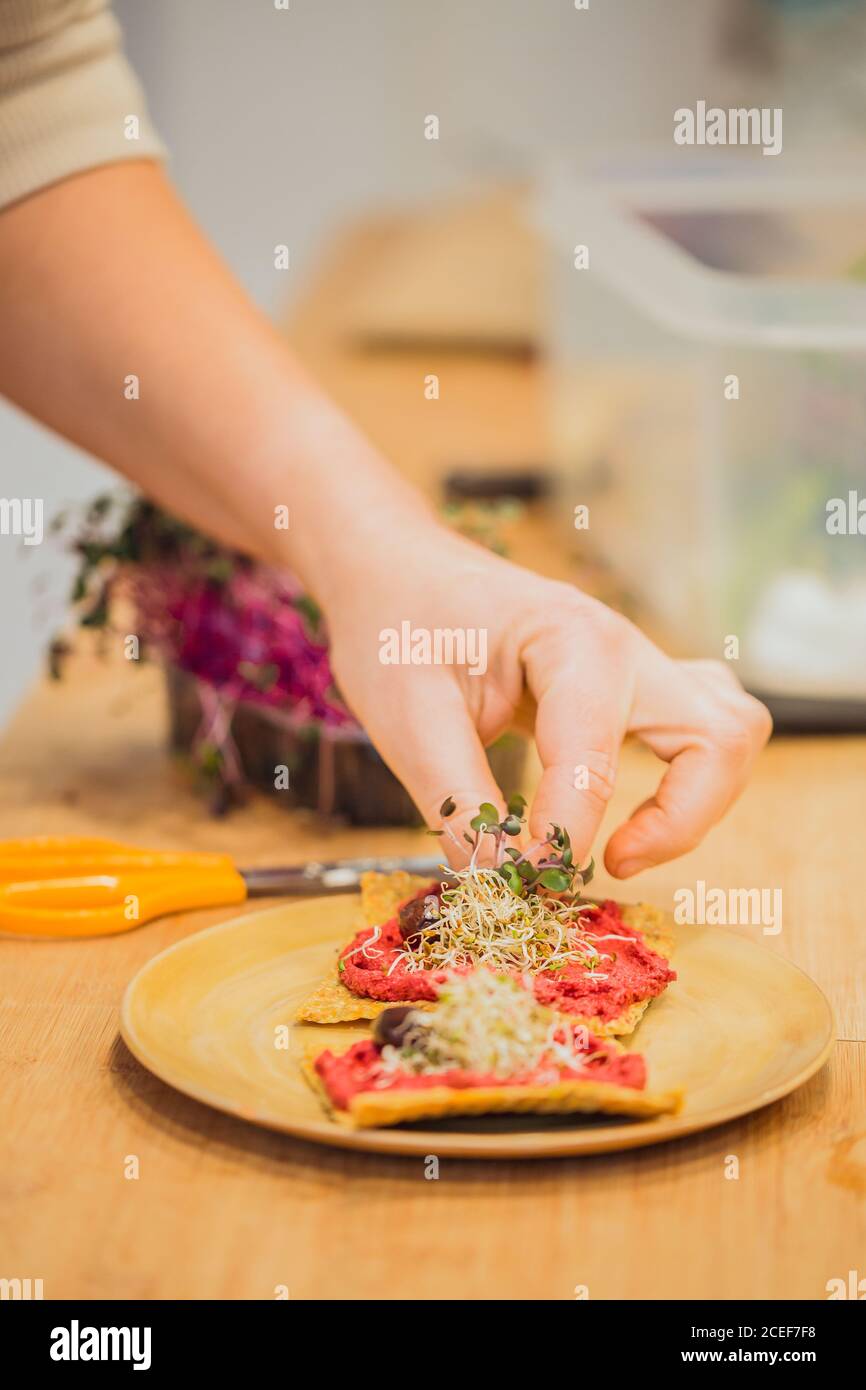 Preparing appetizers hi-res stock photography and images - Alamy