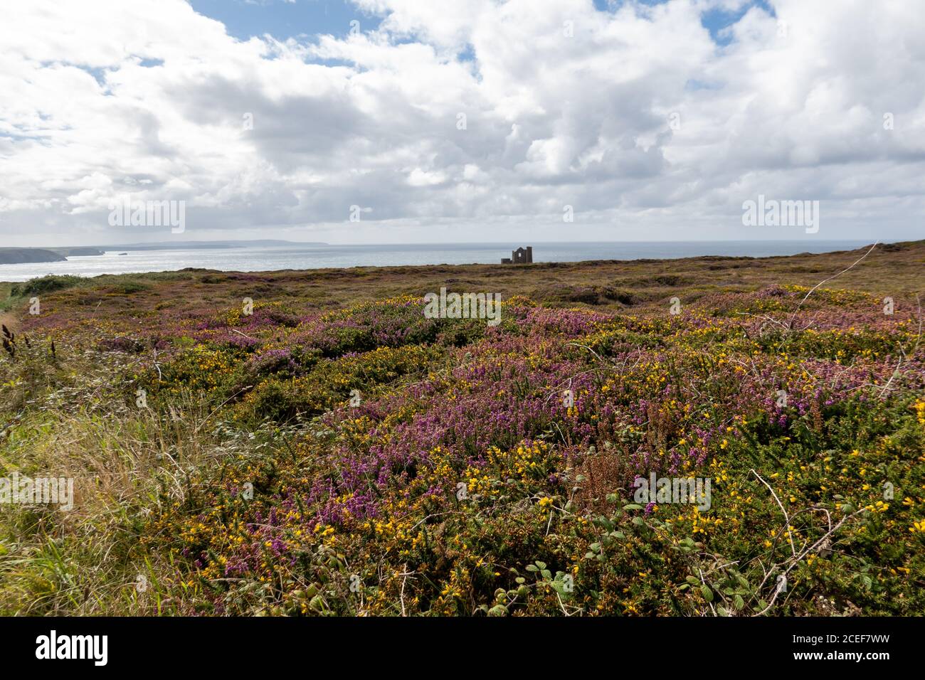 Lord de dunstaville hi-res stock photography and images - Alamy