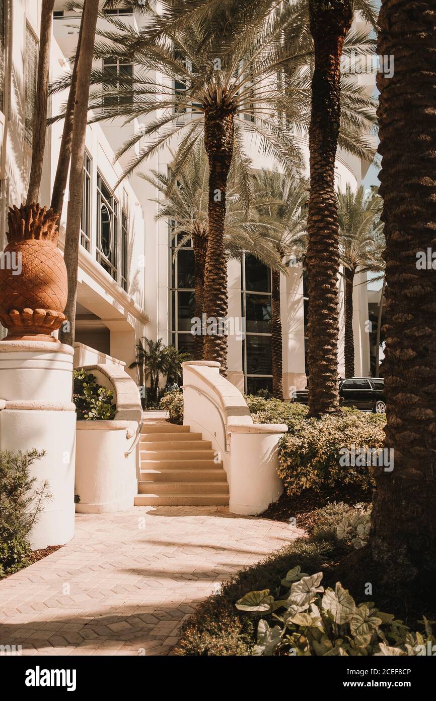 Exotic palms growing near path and steps of luxury villa on sunny day ...
