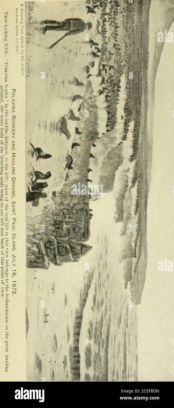 . Seal and salmon fisheries and general resources of Alaska. even in ...