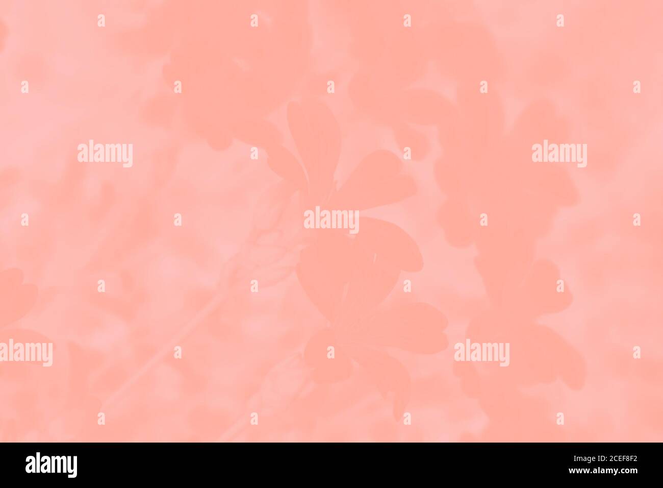 Pink coral background with flowers pattern, vertical Stock Photo - Alamy