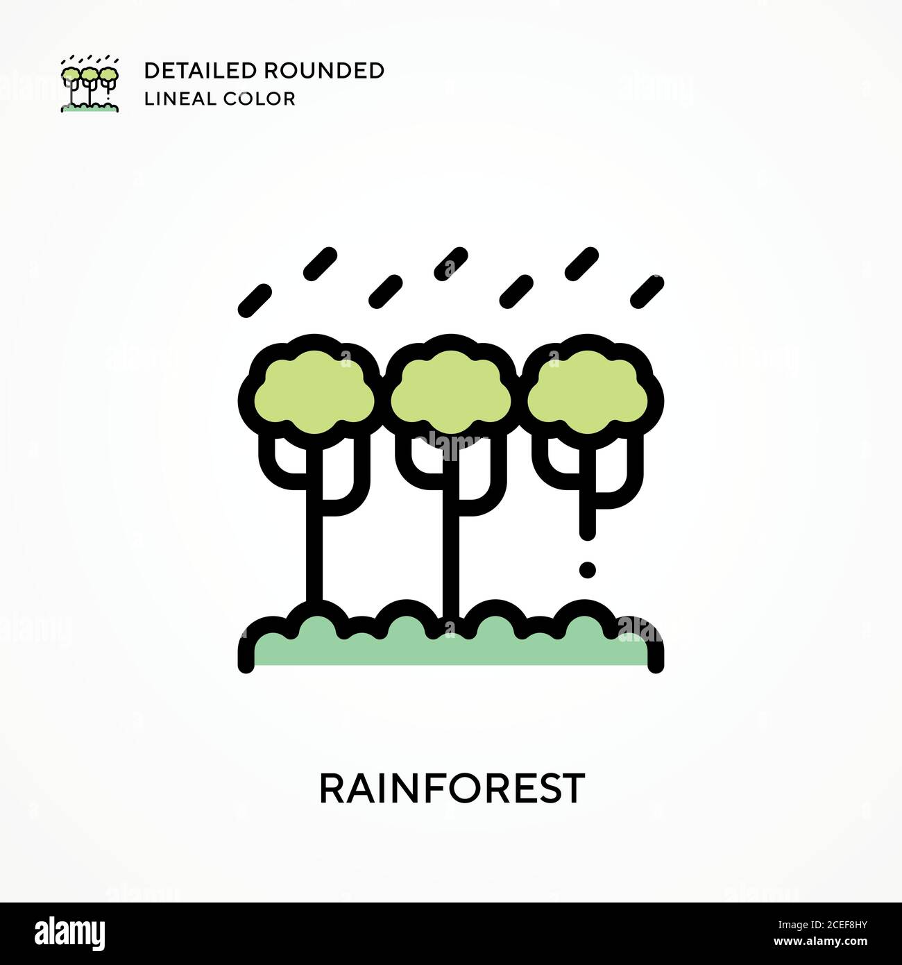 Rainforest vegetation view Cut Out Stock Images & Pictures - Alamy