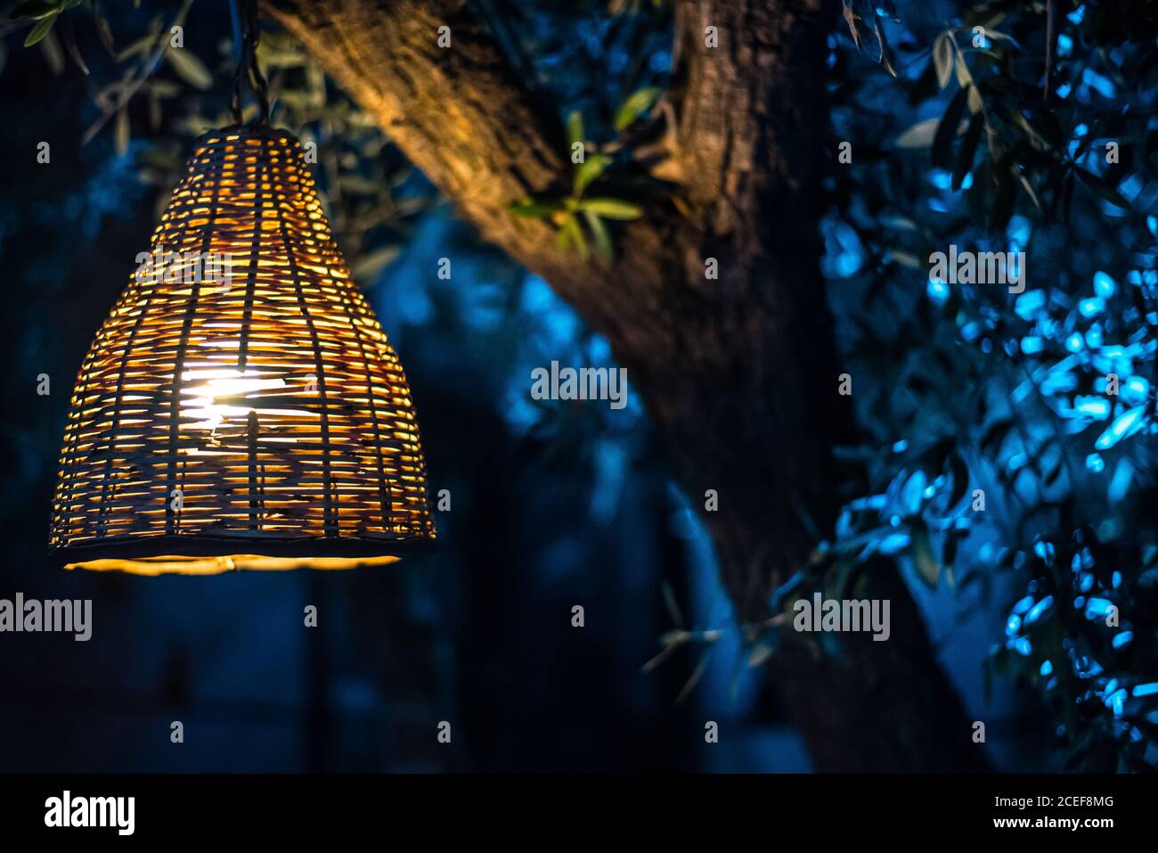 Bamboo lampshade in colorful lighting tree Stock Photo - Alamy