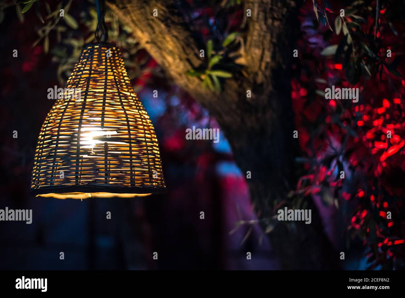 Bamboo lampshade in colorful lighting tree Stock Photo - Alamy