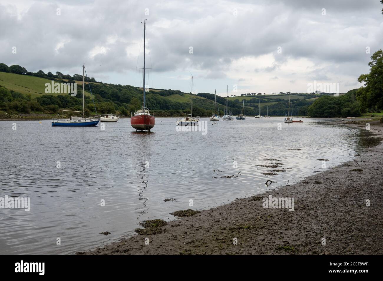 River Avon next to Tidal Road, Aveton Gifford Stock Photo - Alamy