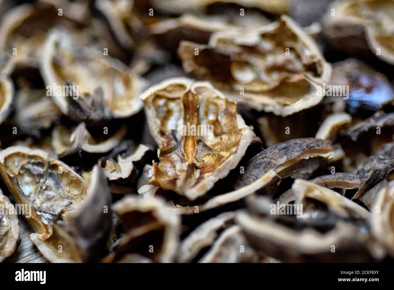 Walnut shells hi-res stock photography and images - Alamy