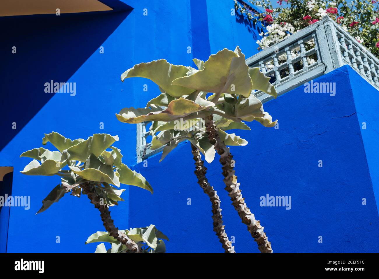 Beautiful moroccan building architecture design Stock Photo - Alamy