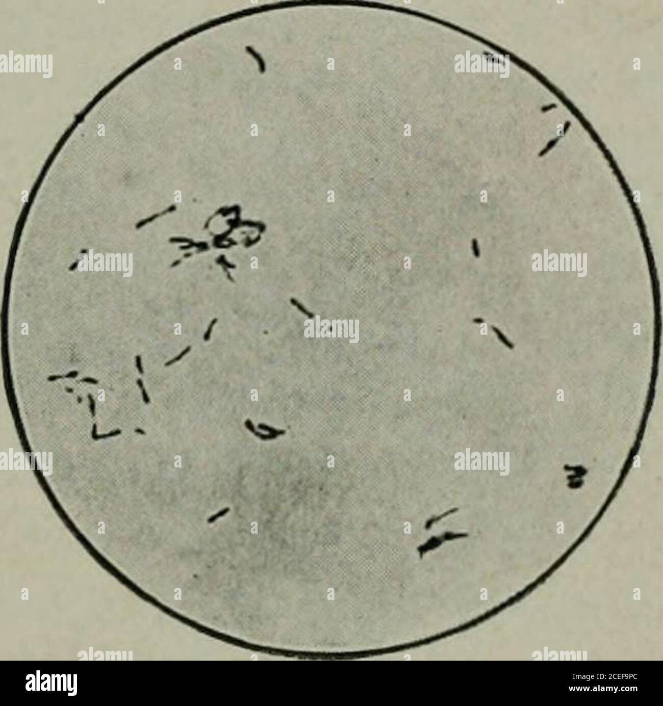 Micro roentgen hi-res stock photography and images - Alamy