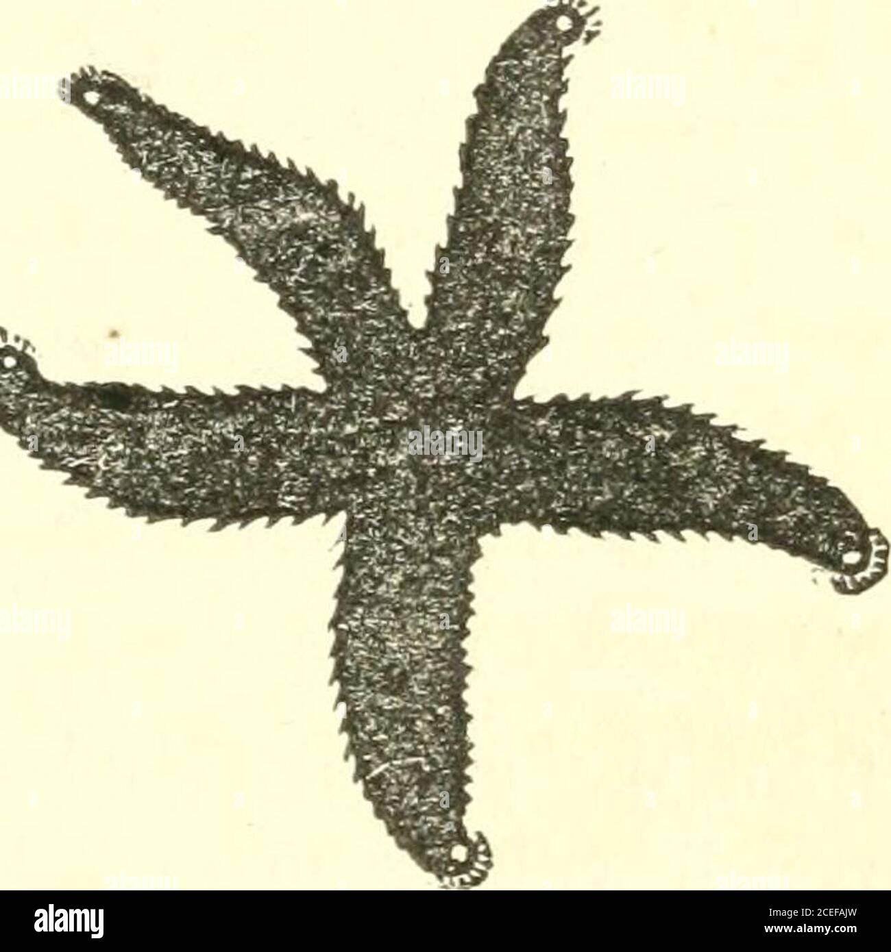 Discerning eyes hi-res stock photography and images - Alamy