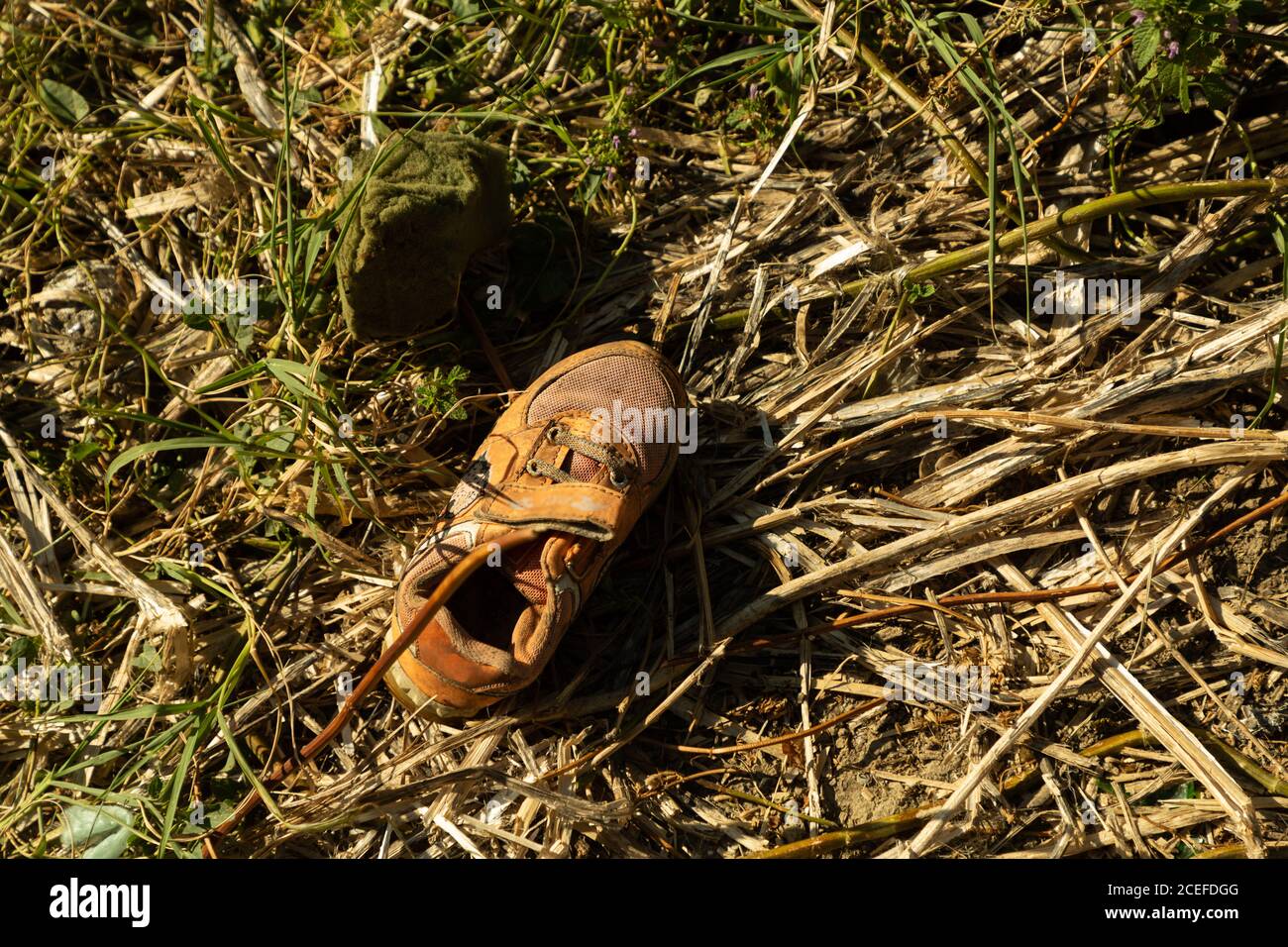 a single lost shoe on the ground Stock Photo - Alamy
