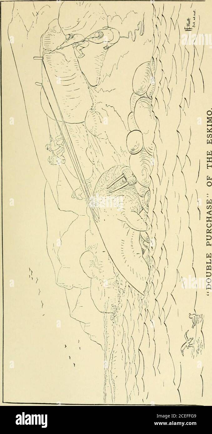 . Seal and salmon fisheries and general resources of Alaska. reremundi ...